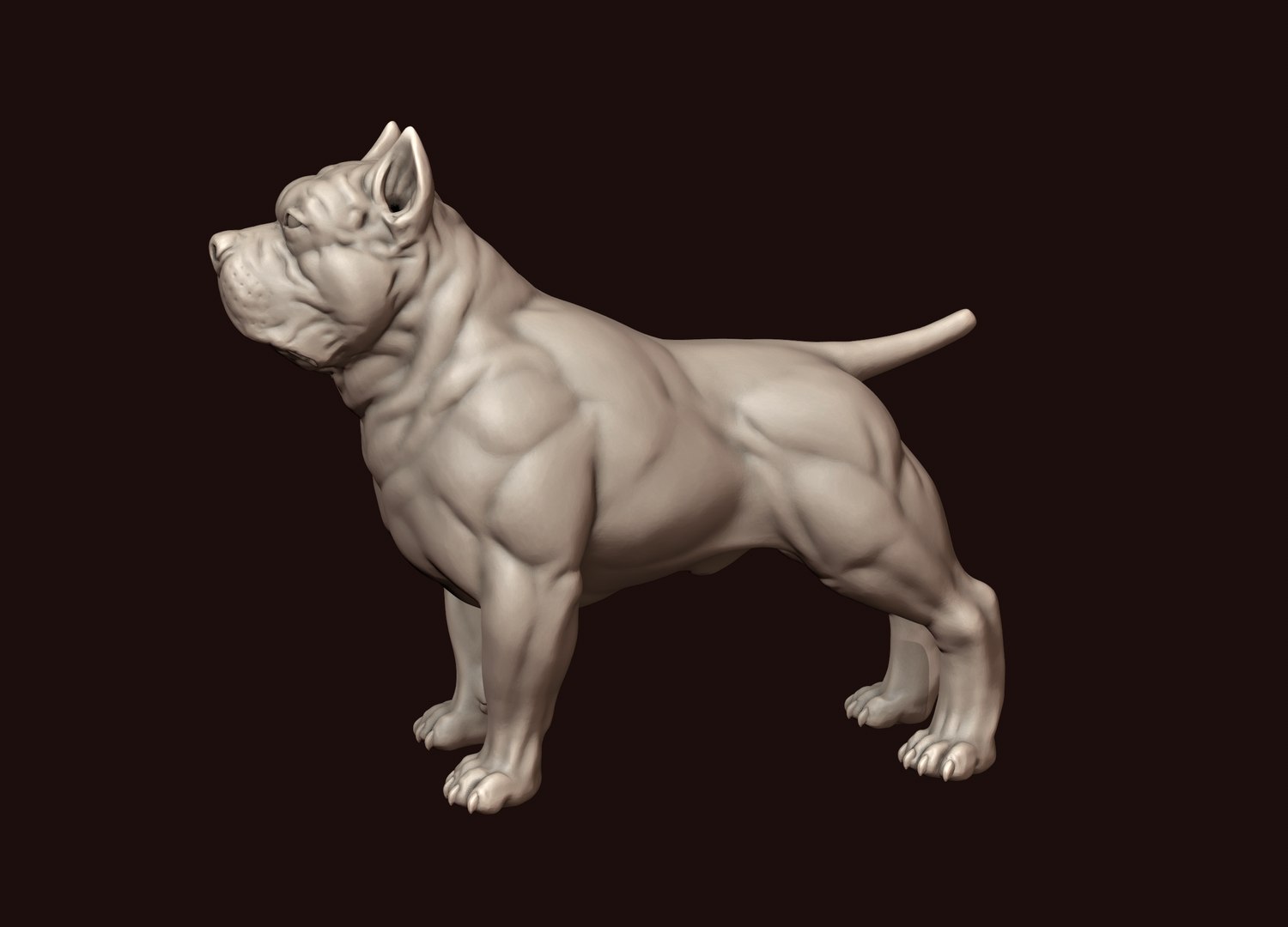 3D Model American Bully 3D Print - TurboSquid 1872334