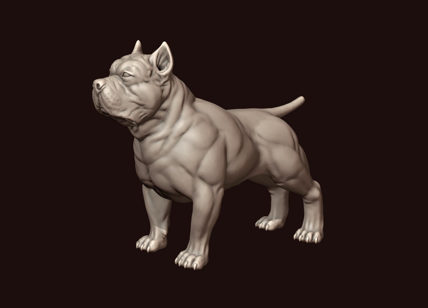 3D Model American Bully 3D Print - TurboSquid 1872334