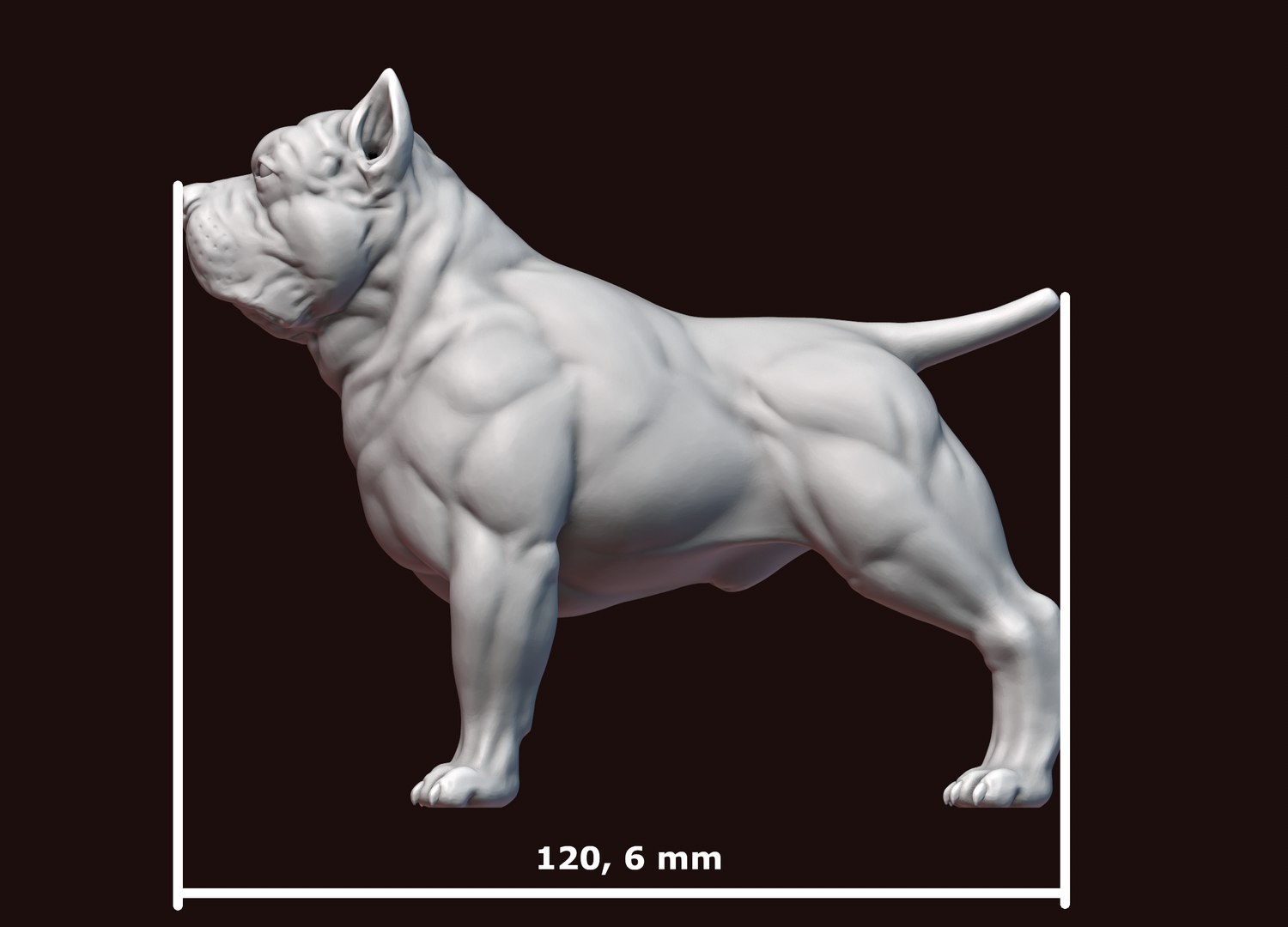 3D model American Bully 3D print - TurboSquid 1872334