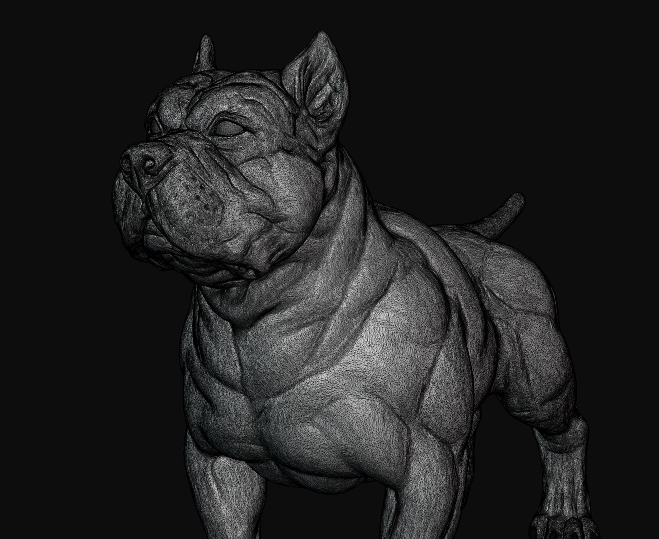 3D model American Bully 3D print - TurboSquid 1872334
