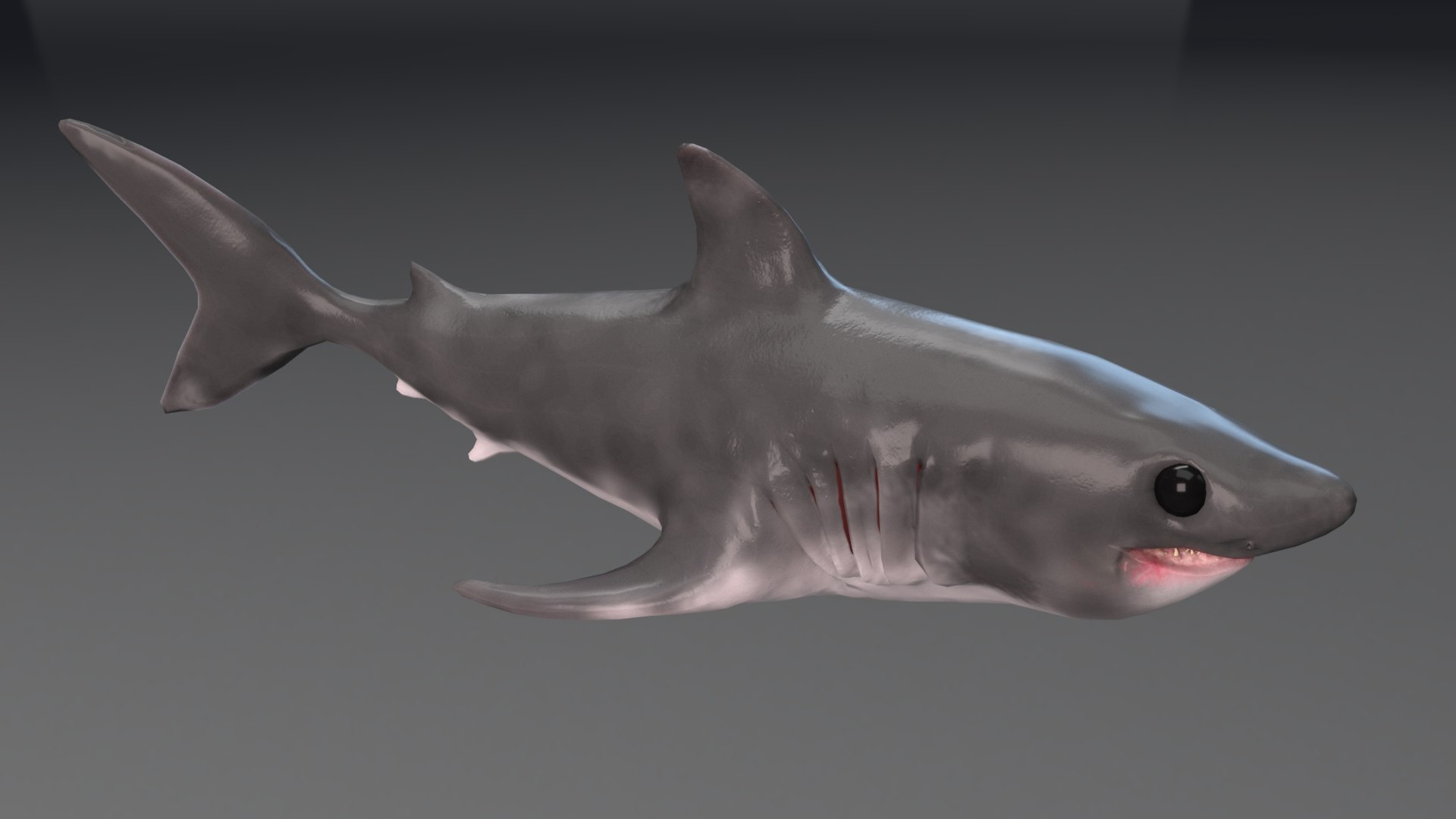 3D Baby Shark Model - 18 Animations Model - TurboSquid 1739848