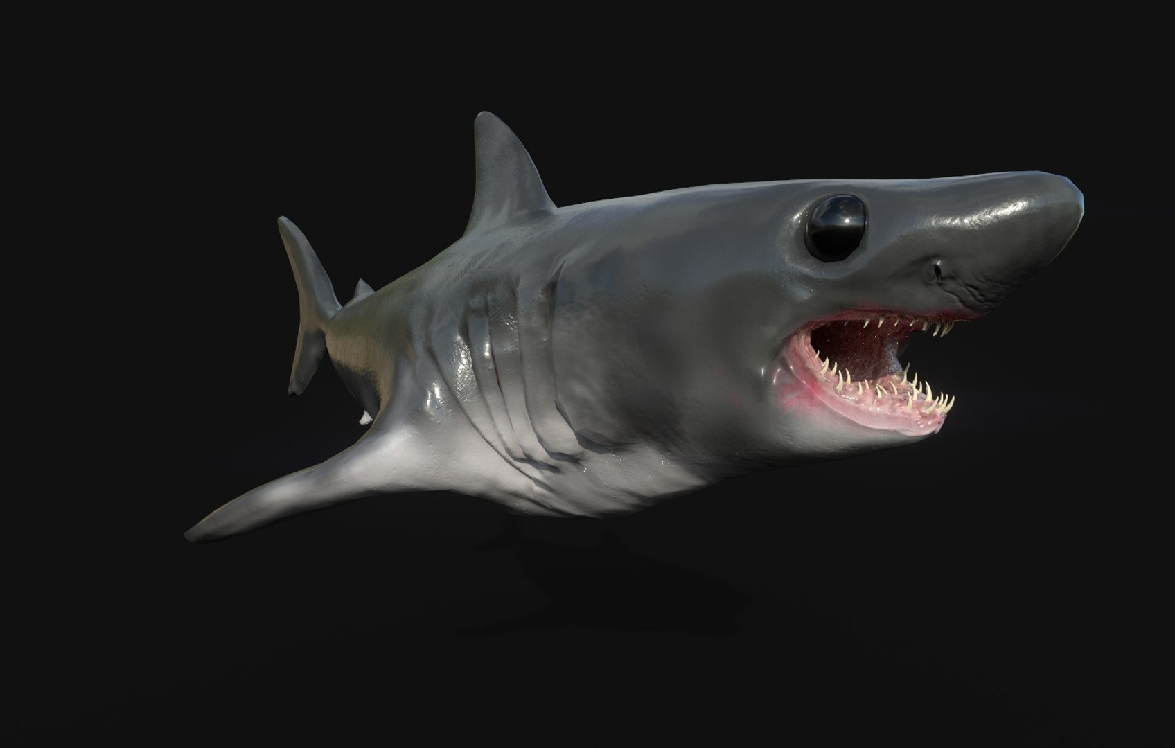 3D Baby Shark Model - 18 Animations Model - TurboSquid 1739848