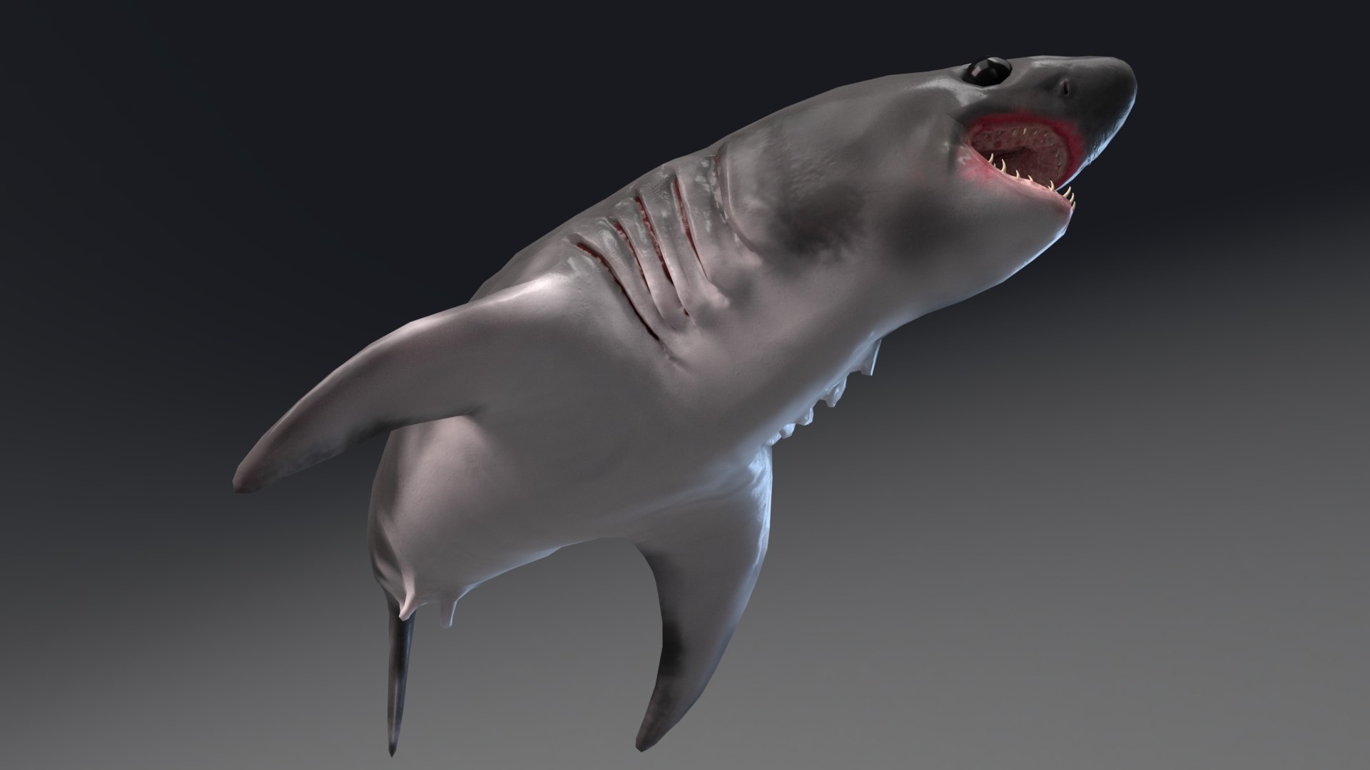 3D Baby Shark Model - 18 Animations Model - TurboSquid 1739848