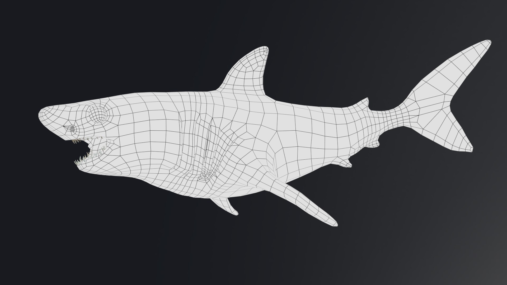 3D Baby Shark Model - 18 Animations Model - TurboSquid 1739848