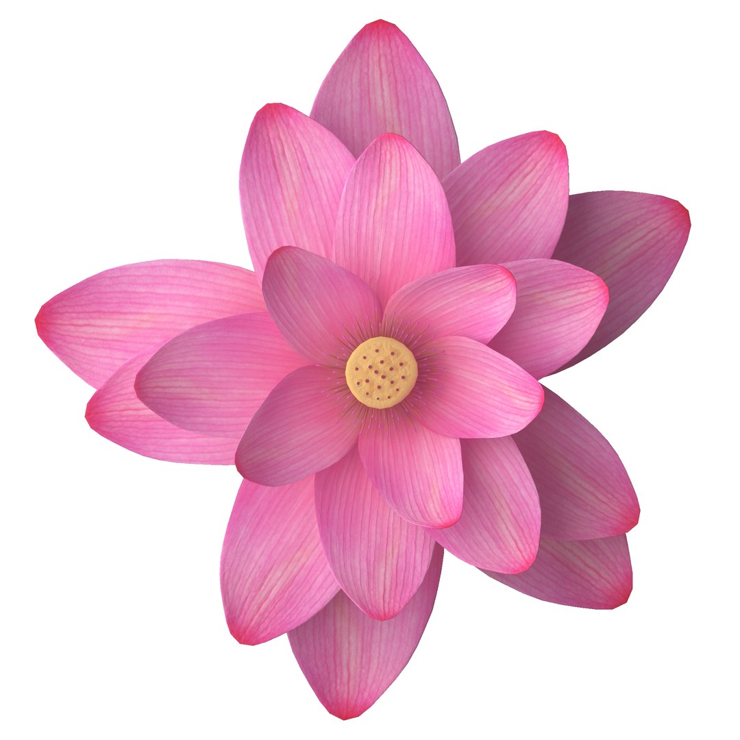 Max Flower