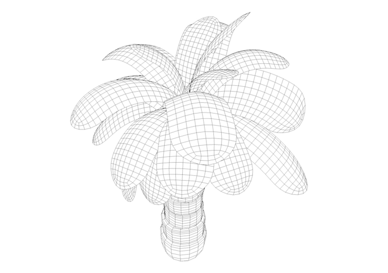 3d Model Palm Tree