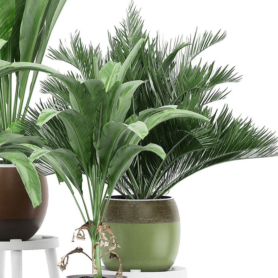 3D Flower Pack 134 - TurboSquid 1638913