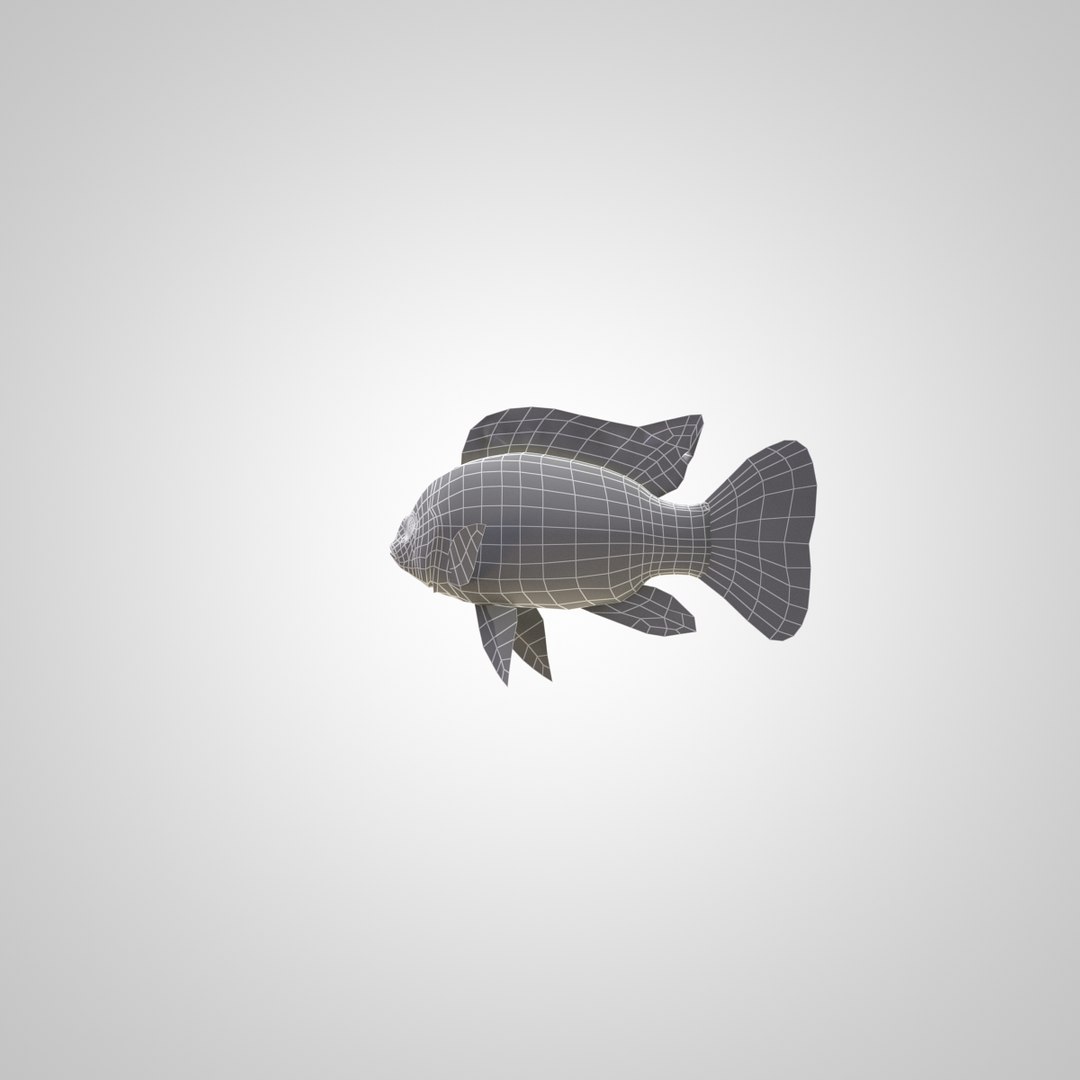 3ds Max Aquarium Fish Cihlida Labidochromis