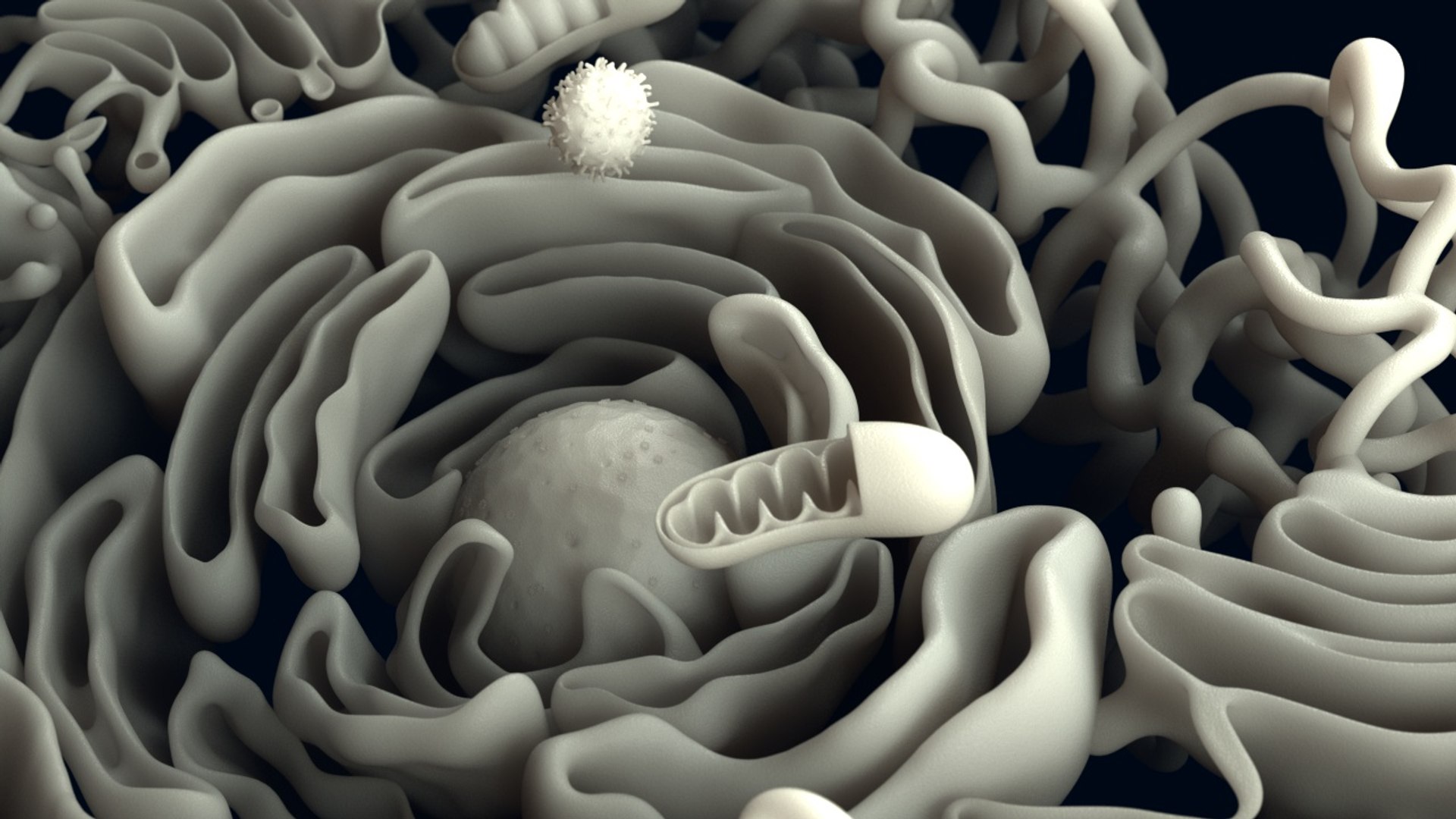 Cell Reticulum Endoplasmic 3D Model - TurboSquid 1354436