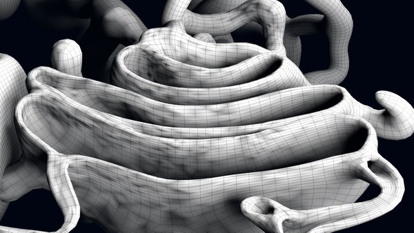 Cell reticulum endoplasmic 3D model - TurboSquid 1354436