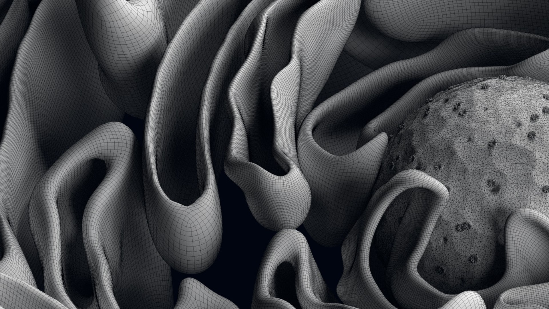 Cell Reticulum Endoplasmic 3D Model - TurboSquid 1354436