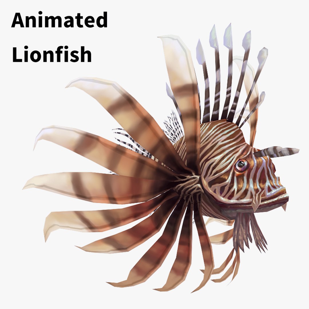 3D model Animated lionfish - TurboSquid 2152672