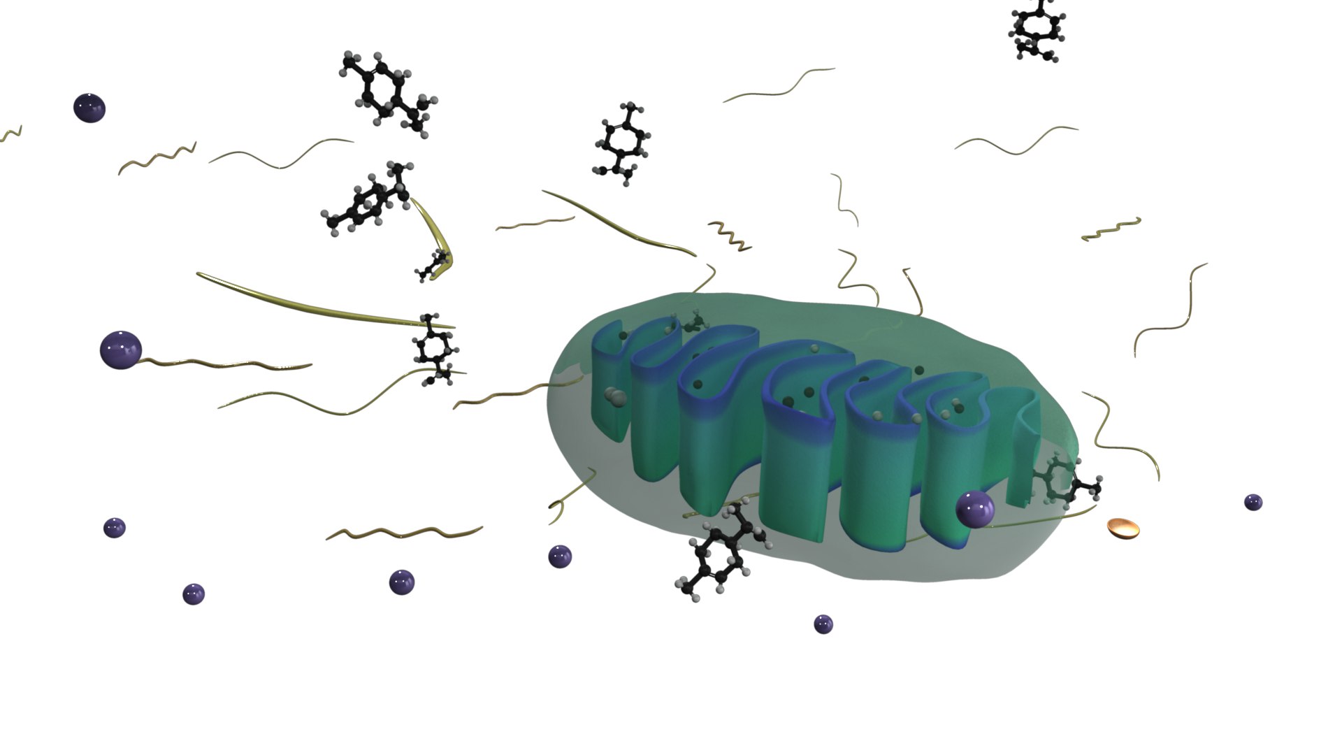 3d Cell Membrane Model