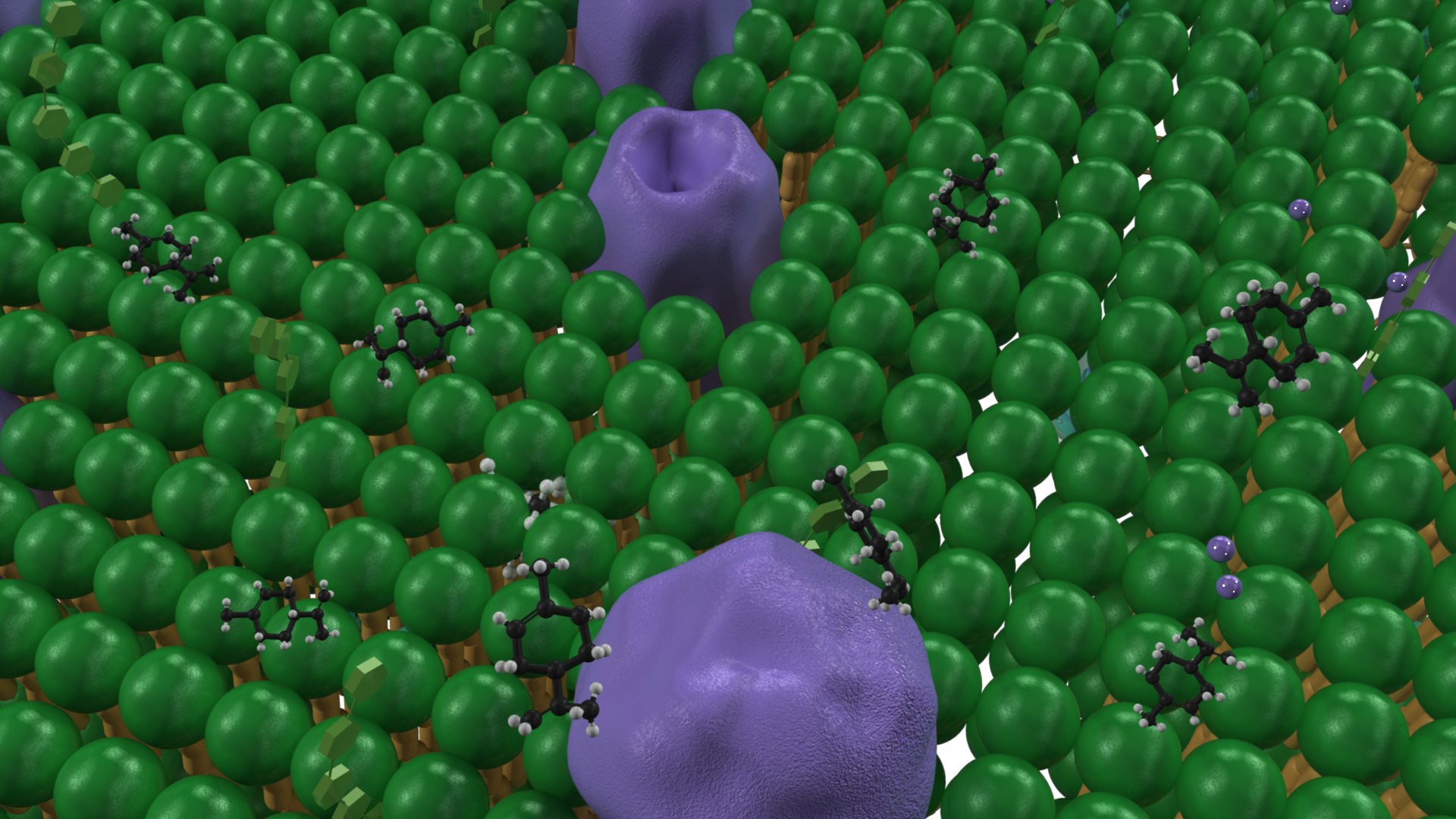 3d Cell Membrane Model