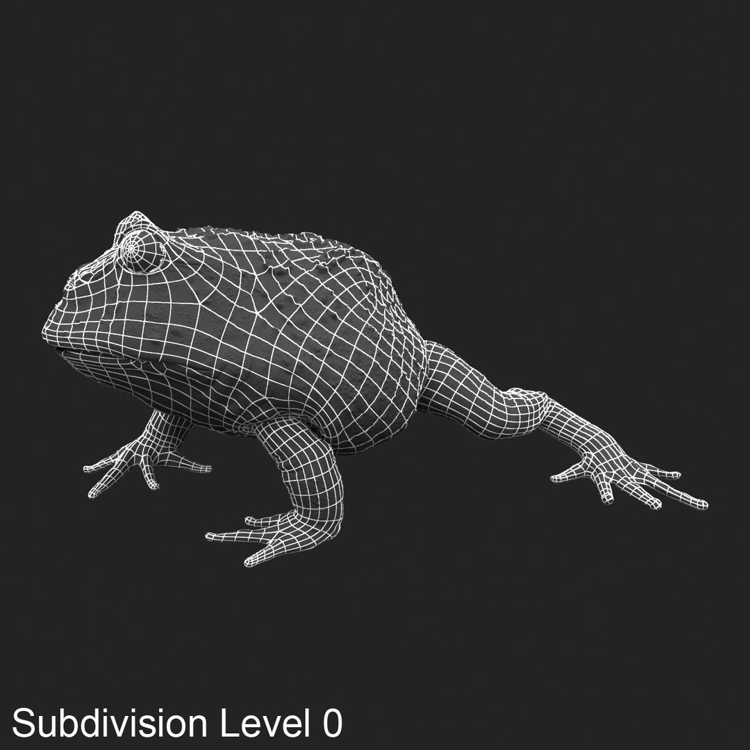 max pacman frog pose 2