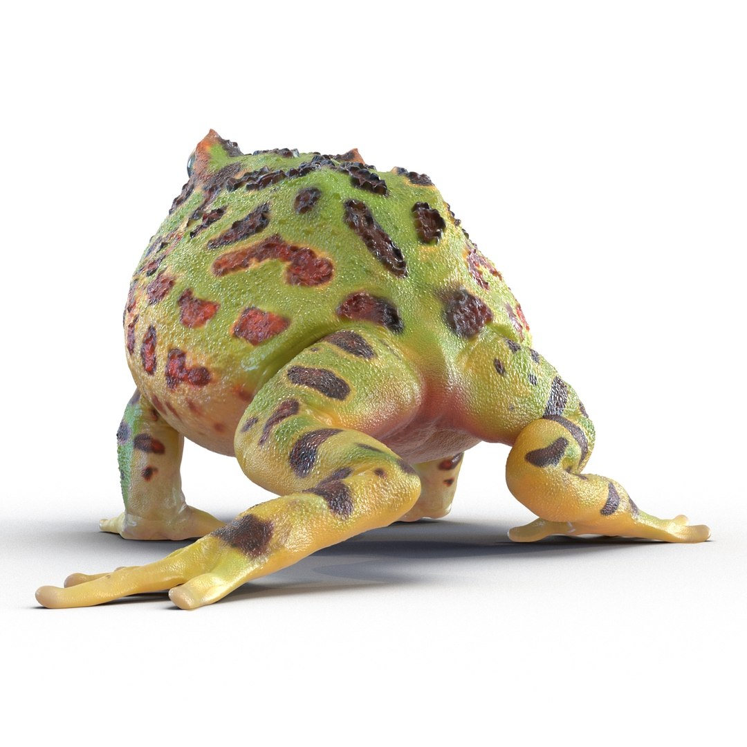 Max Pacman Frog Pose 2