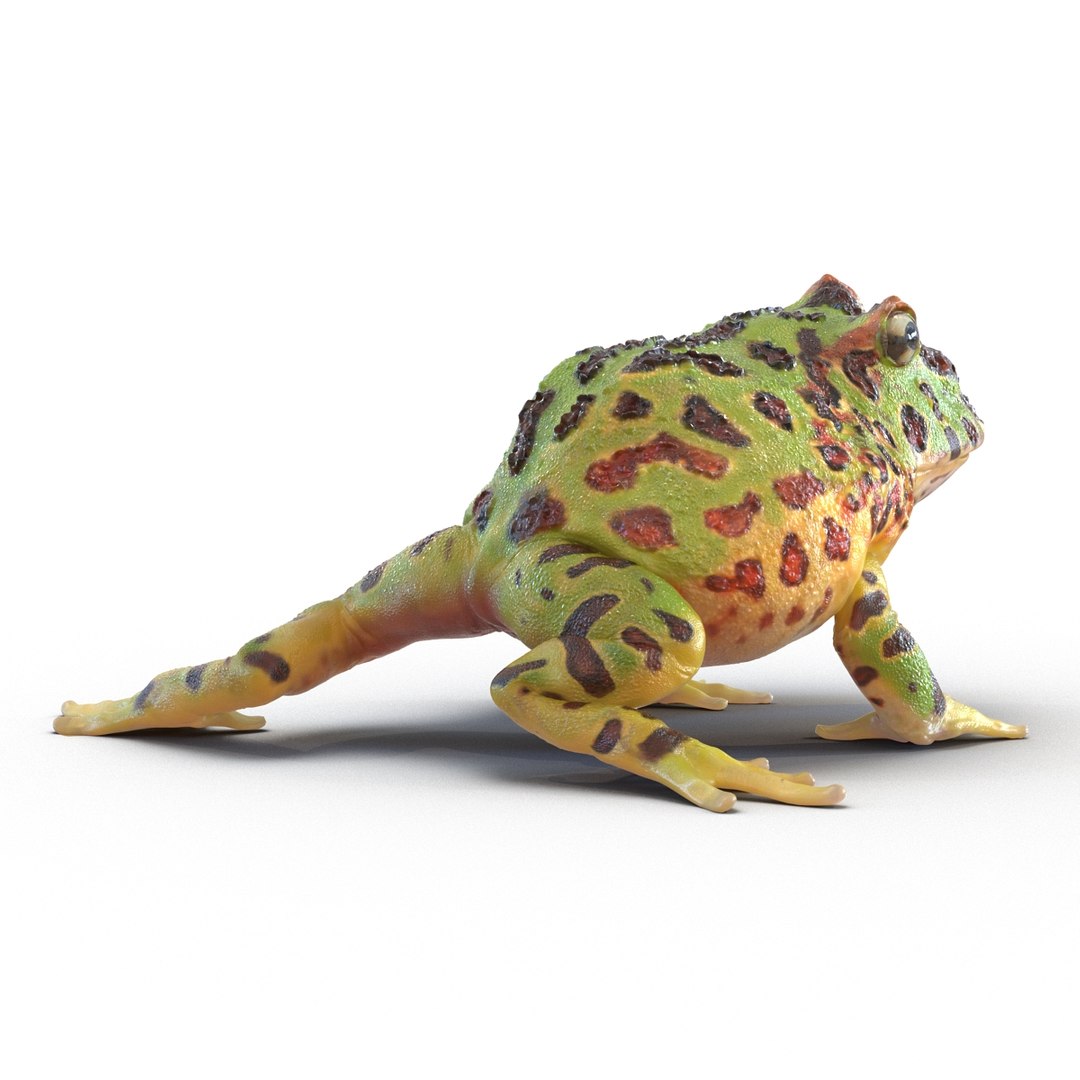 Max Pacman Frog Pose 2