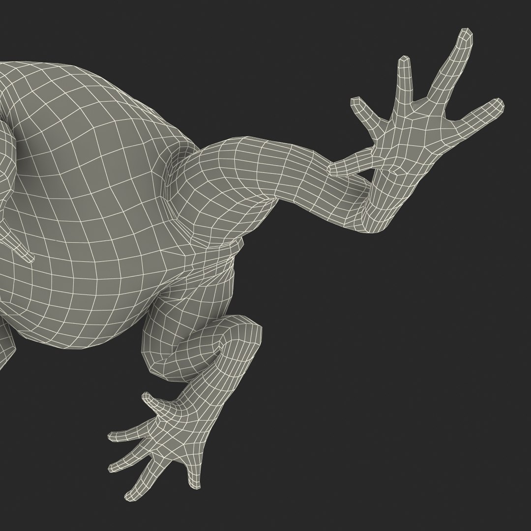 max pacman frog pose 2