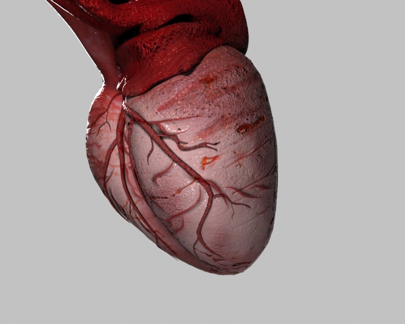 Heart Animation 3d Max