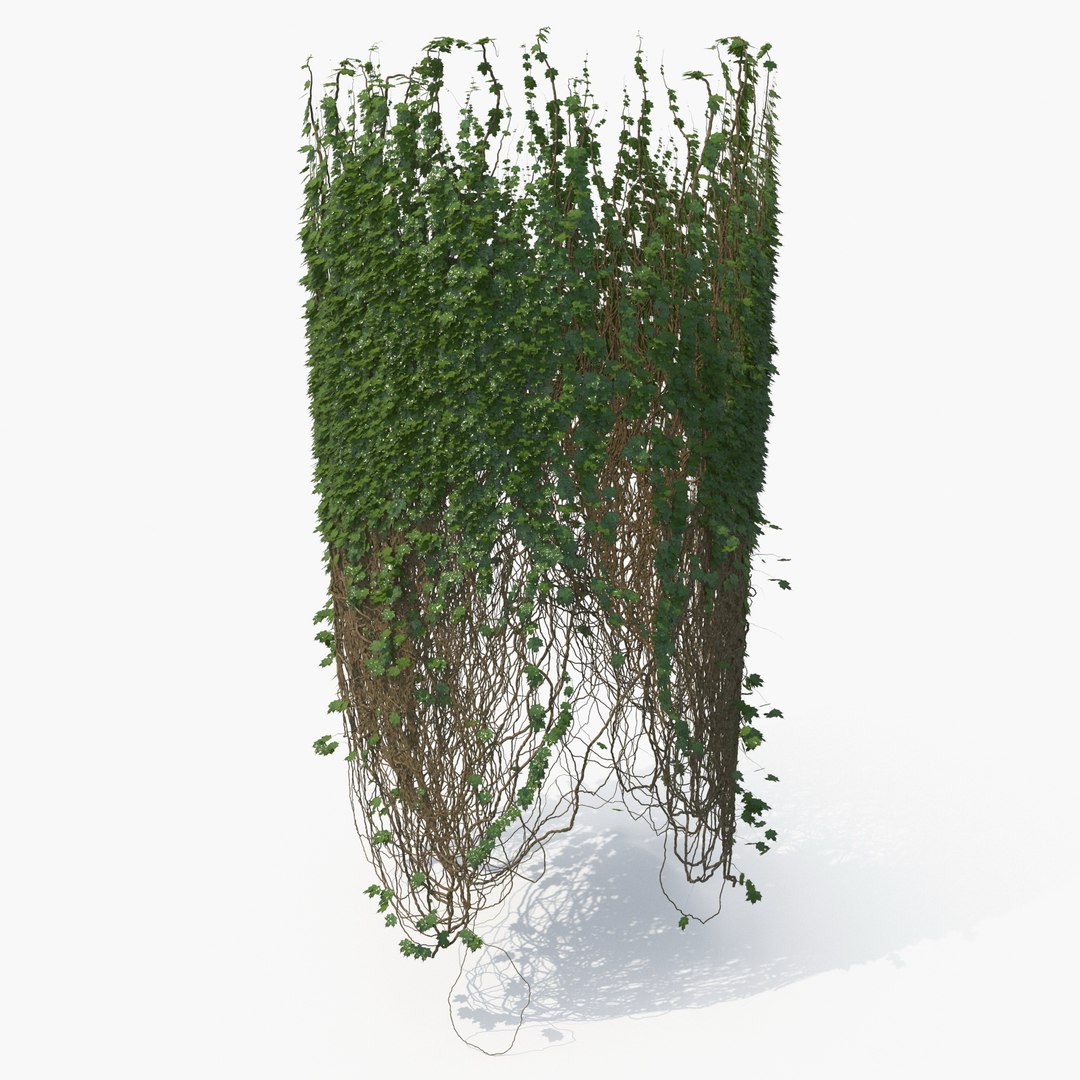 3D Realistic Ivy Column - TurboSquid 1151663
