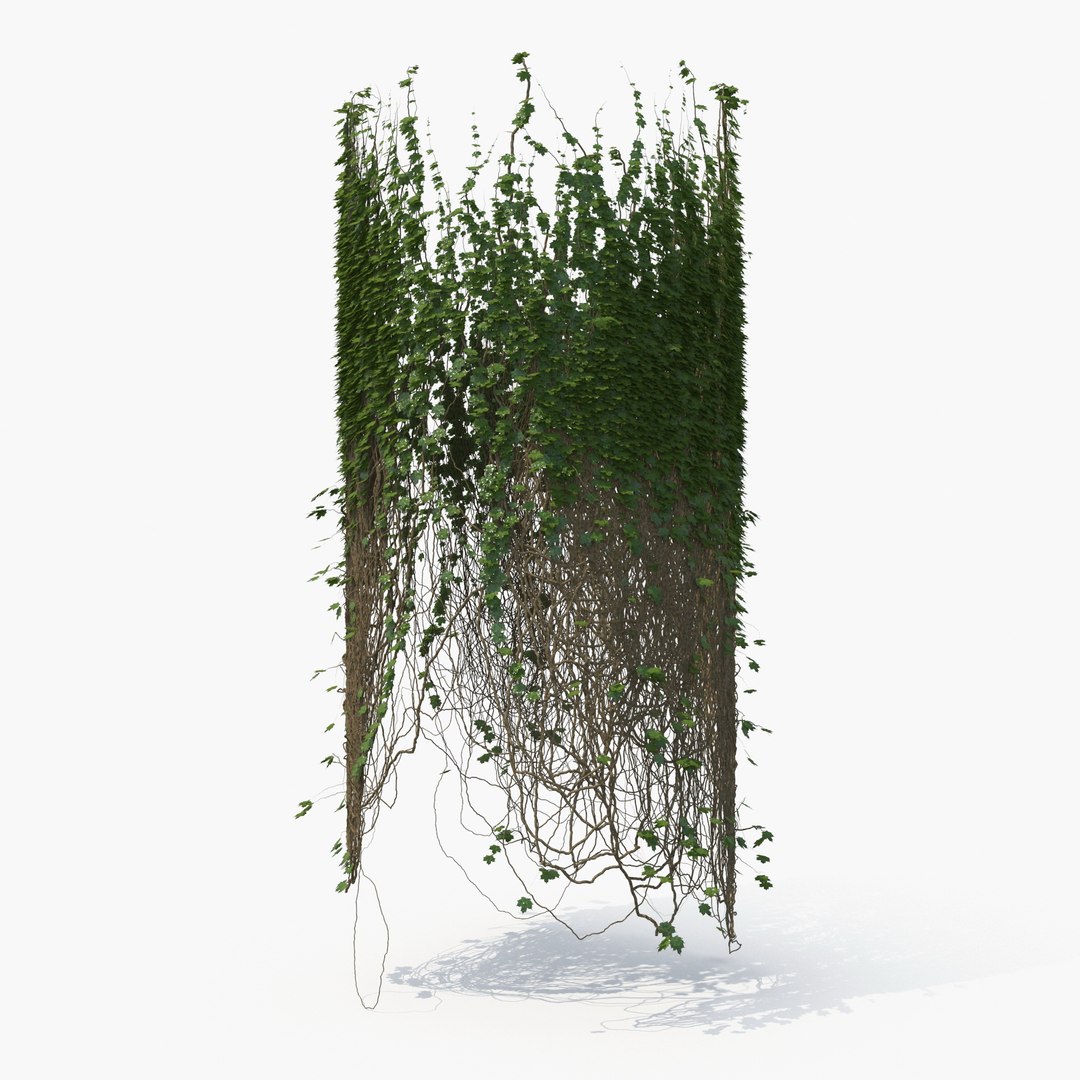 3D Realistic Ivy Column - TurboSquid 1151663