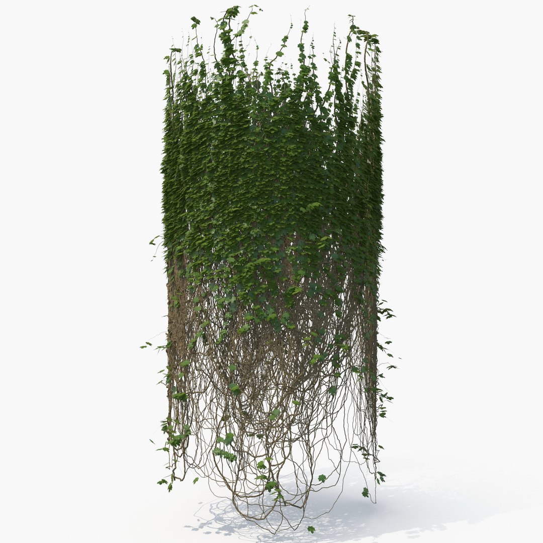 3D Realistic Ivy Column - TurboSquid 1151663