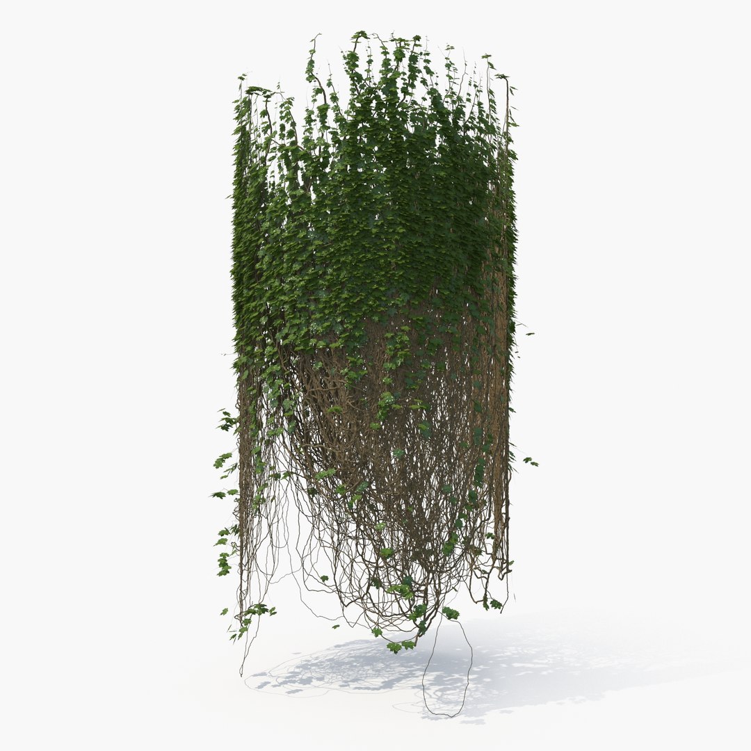 3D Realistic Ivy Column - TurboSquid 1151663