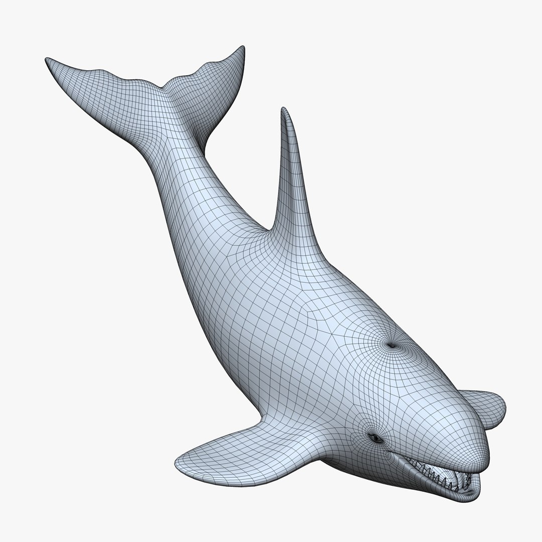 3dsmax Killer Whale Orca