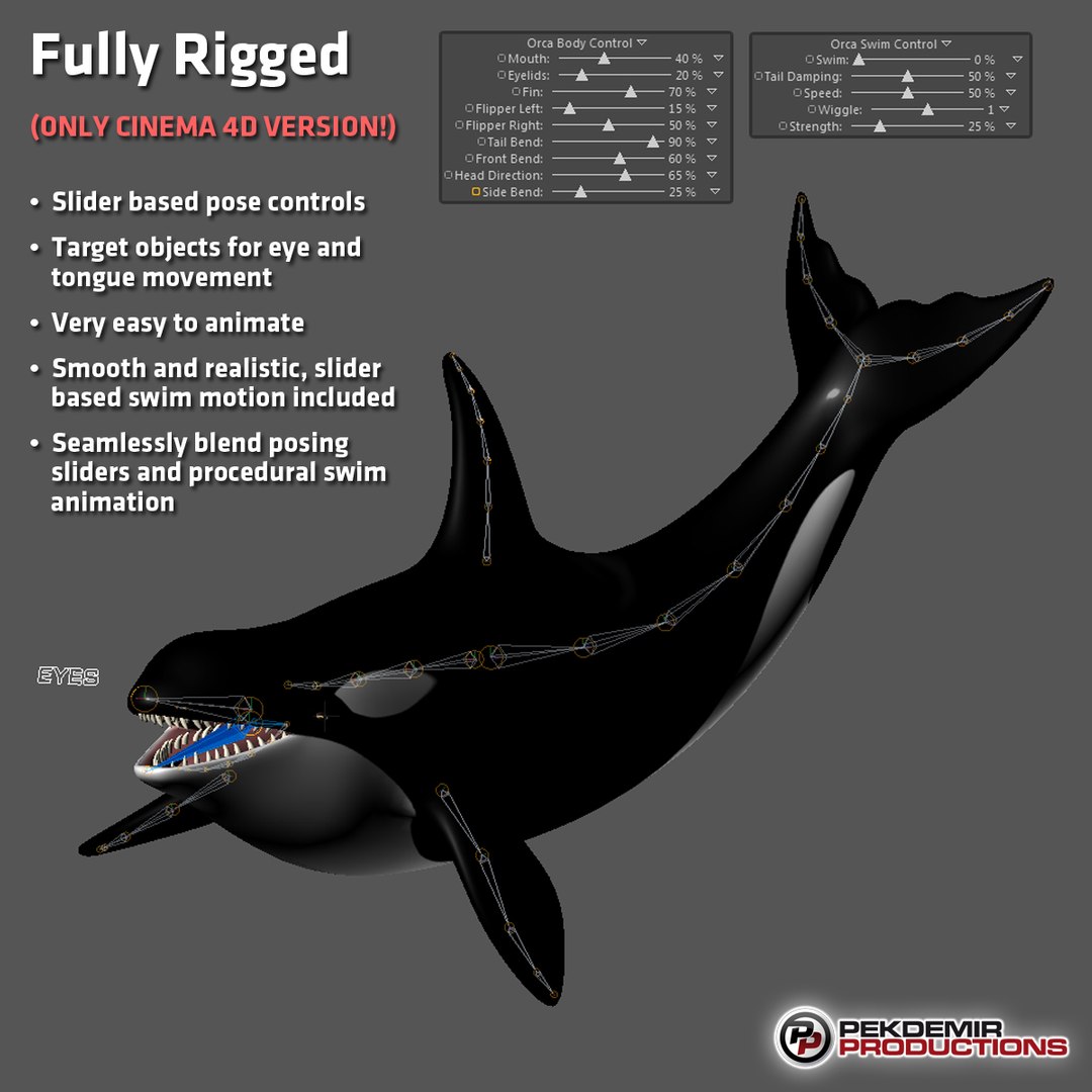 3dsmax Killer Whale Orca