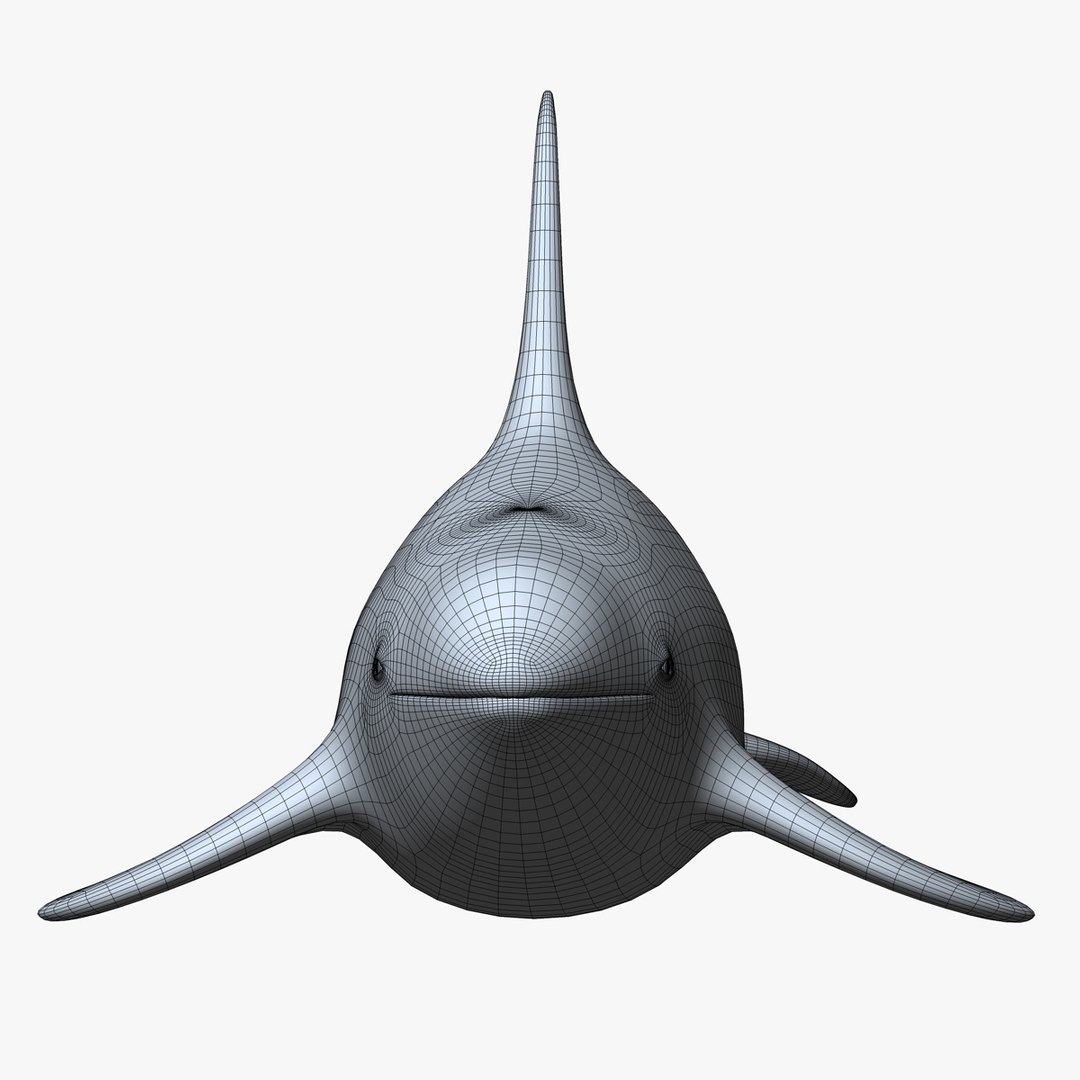 3dsmax Killer Whale Orca