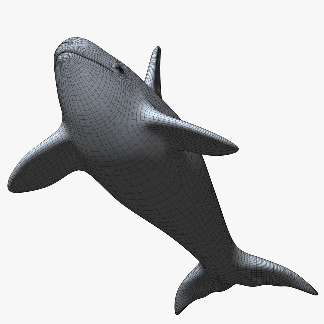3dsmax Killer Whale Orca