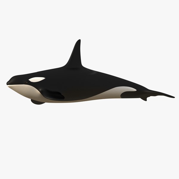 modelo 3d Orca - TurboSquid 656904