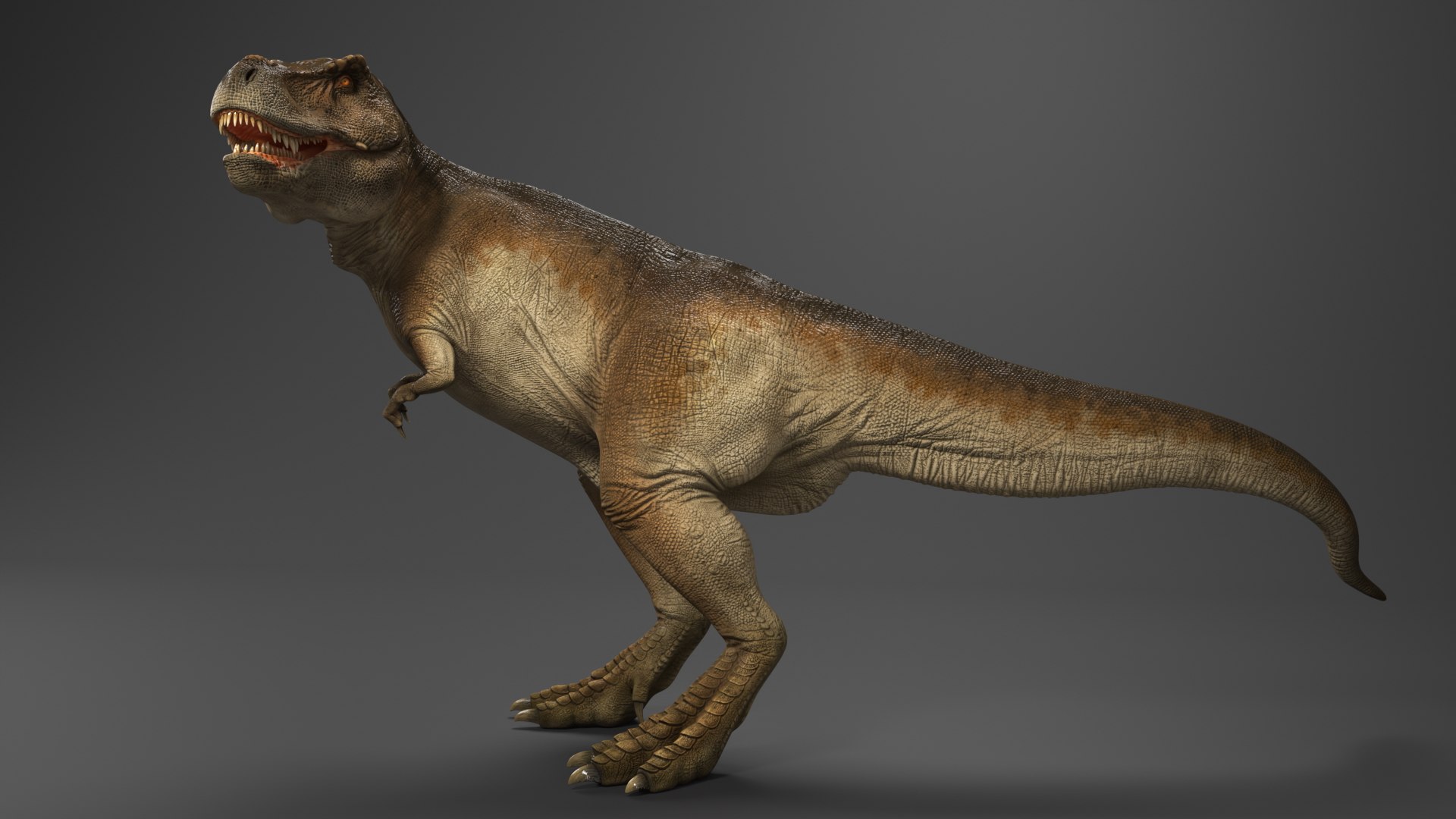 Tyrannosaurus Rex Standing Pose 3D - TurboSquid 2382809