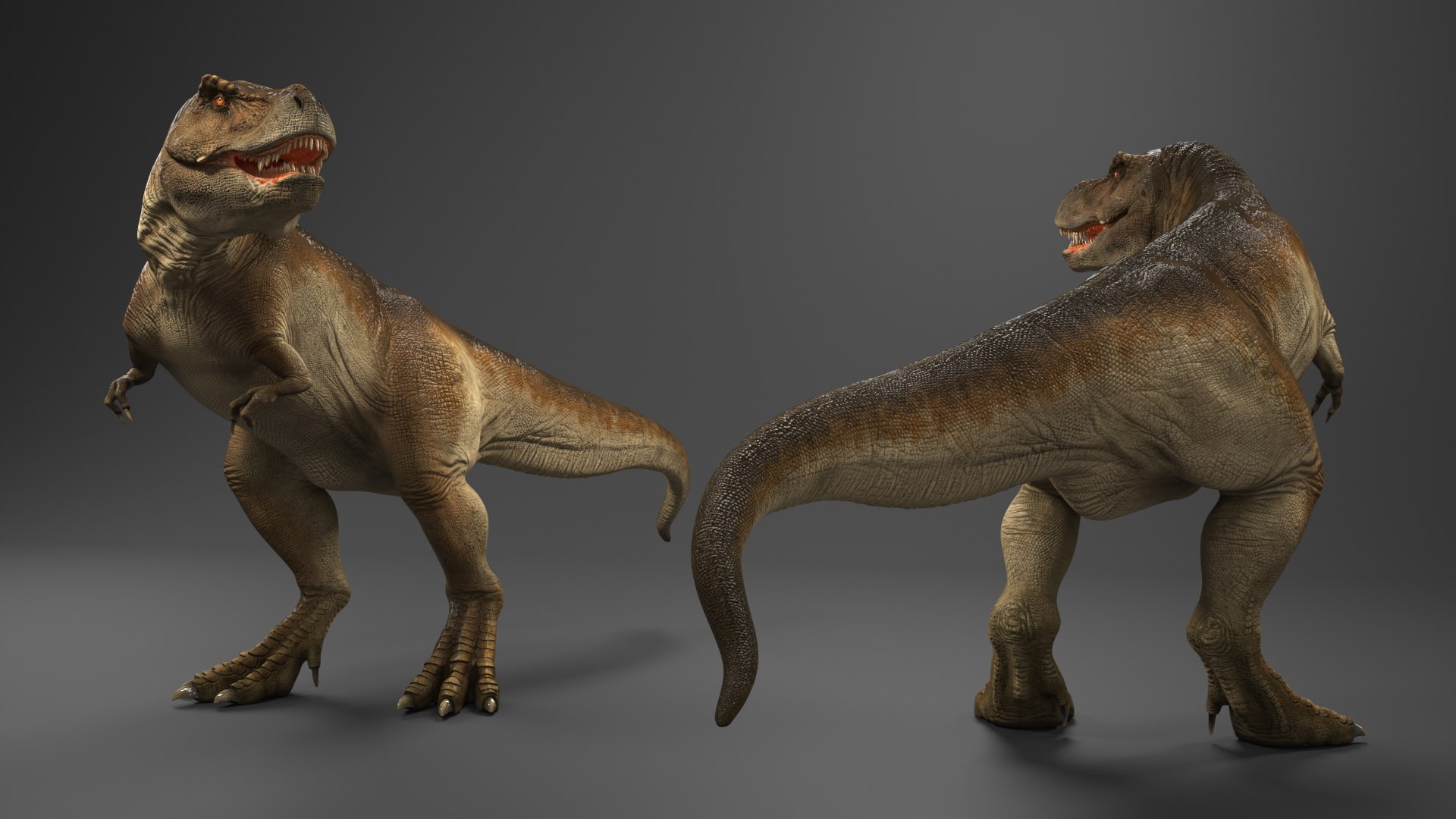 Tyrannosaurus Rex Standing Pose 3D - TurboSquid 2382809