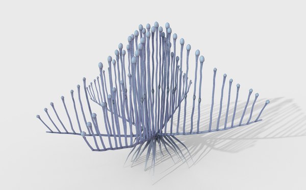 3D модель Лира Губка - TurboSquid 2477300