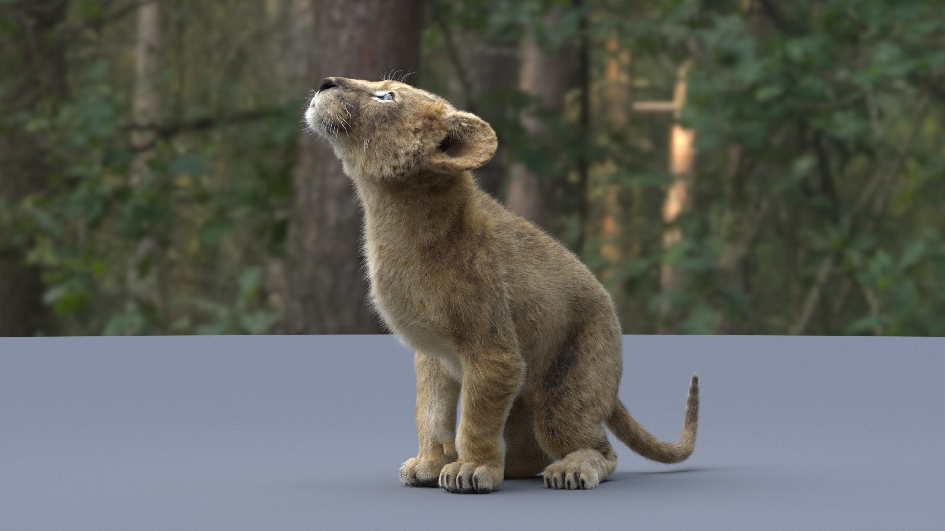 3D Lion Cub Rigged - TurboSquid 2161091