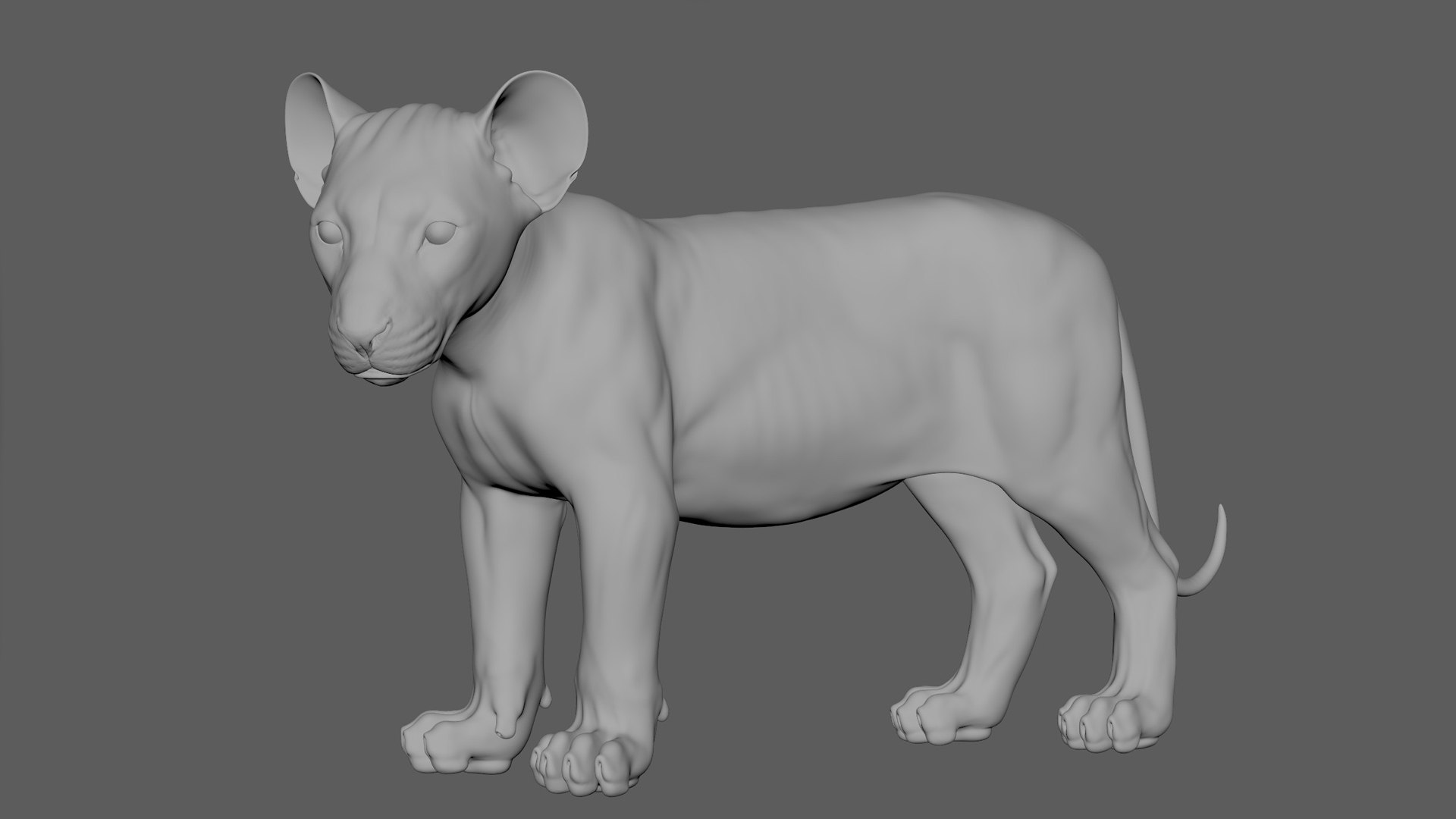 3D Lion Cub Rigged - TurboSquid 2161091