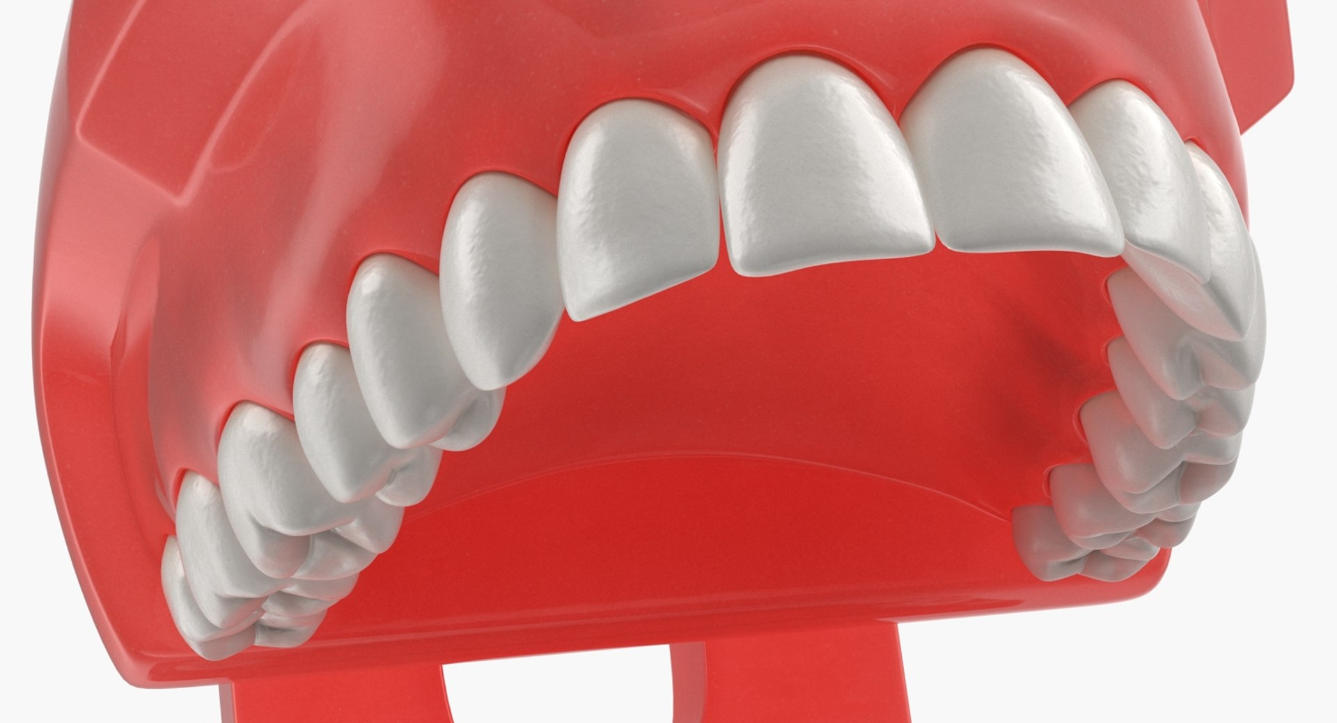 3D typodont teeth modeled model - TurboSquid 1289059