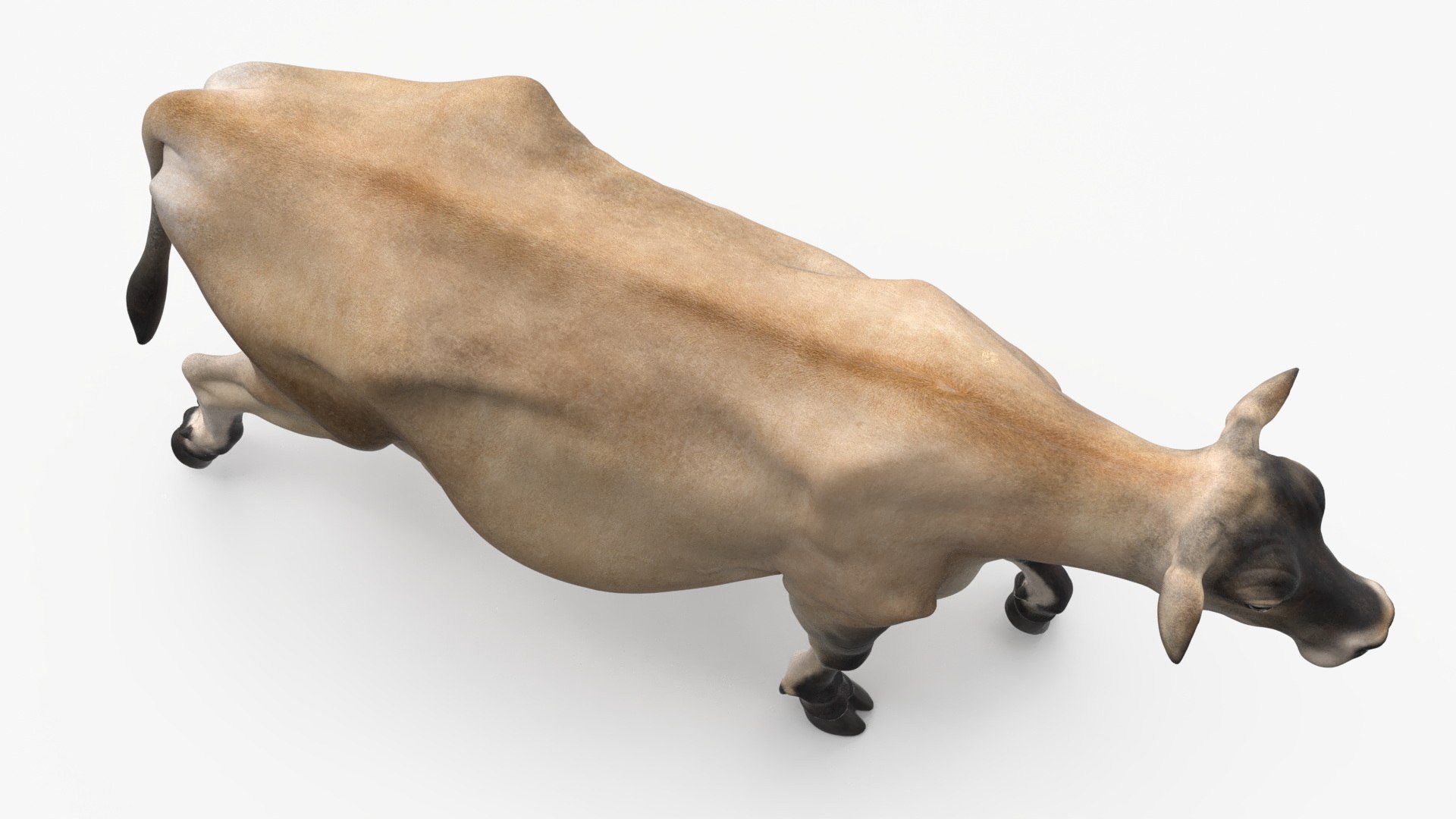 Mini Cow Goes Beige 3D Model - TurboSquid 2312368