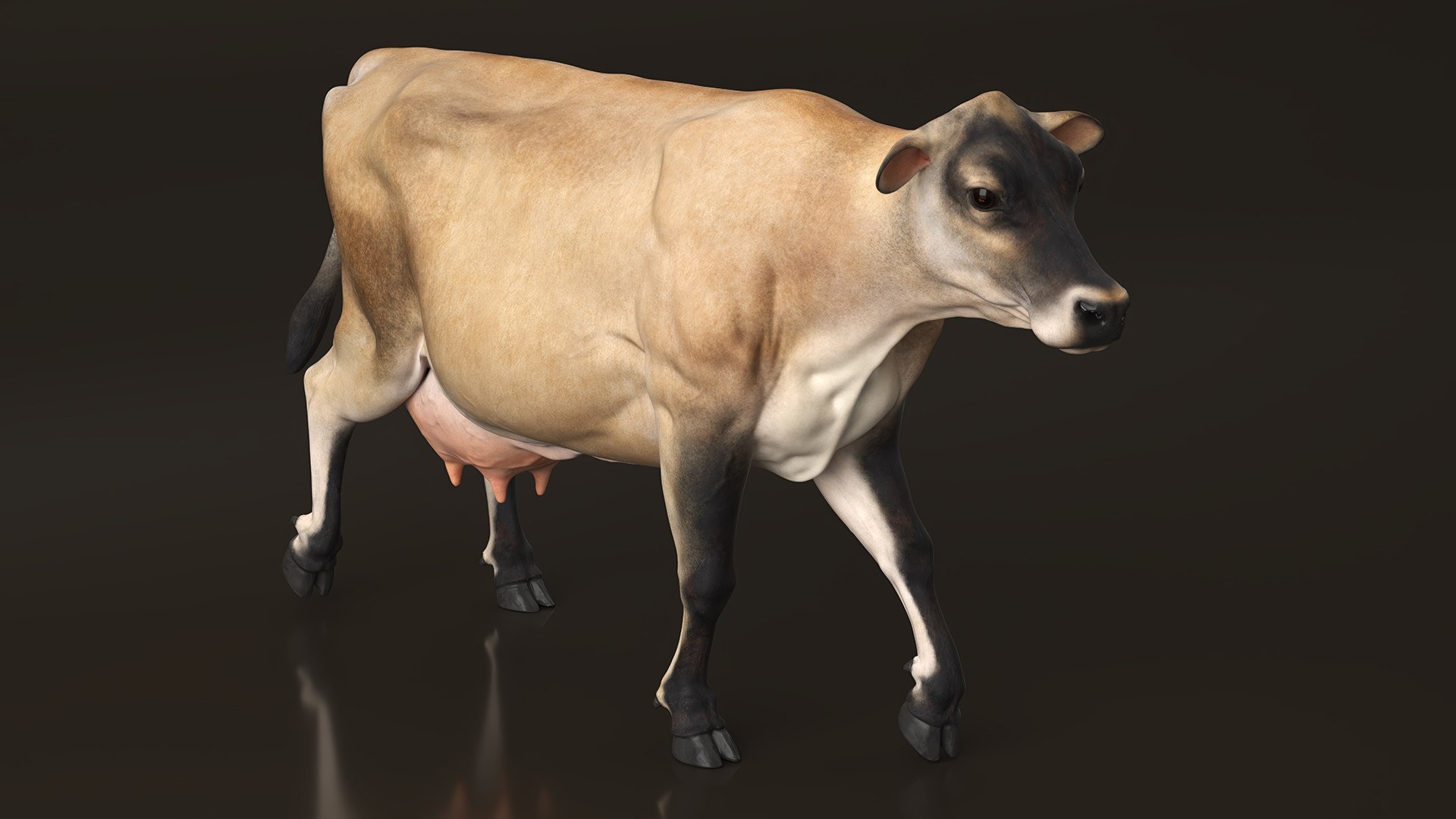 Mini Cow Goes Beige 3D Model - TurboSquid 2312368