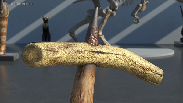 Ancient Digging Stick Tool 3D - TurboSquid 1728135