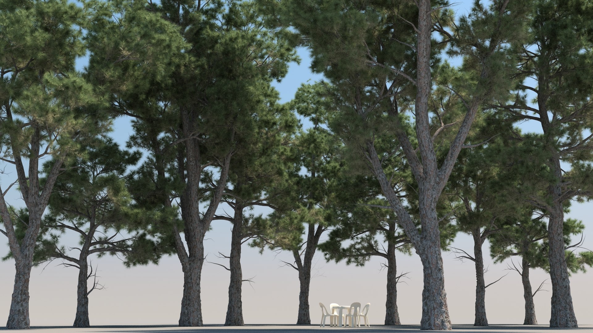 3D 10 Pine Trees Model - TurboSquid 1163714