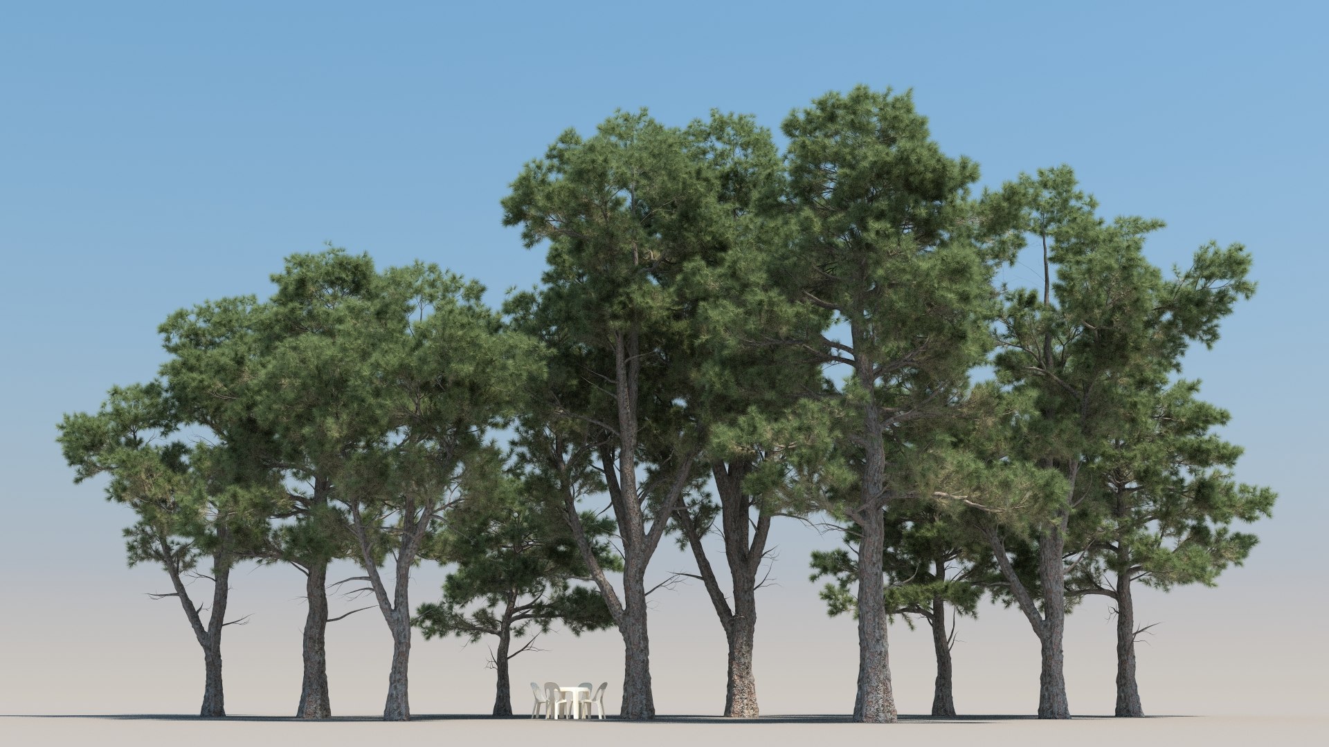 3D 10 Pine Trees Model - TurboSquid 1163714