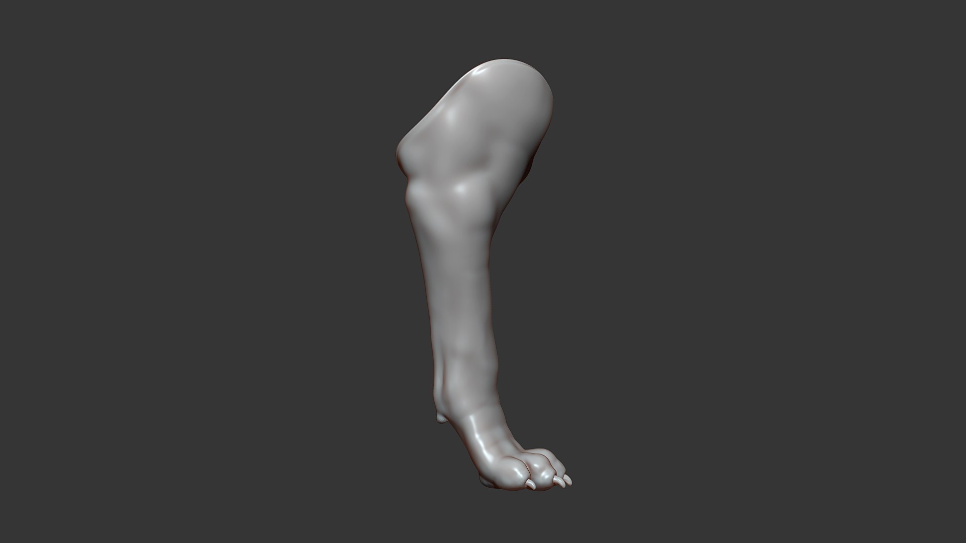 Dog Puppy Front Leg Highpoly Sculpt 3D - TurboSquid 1818434