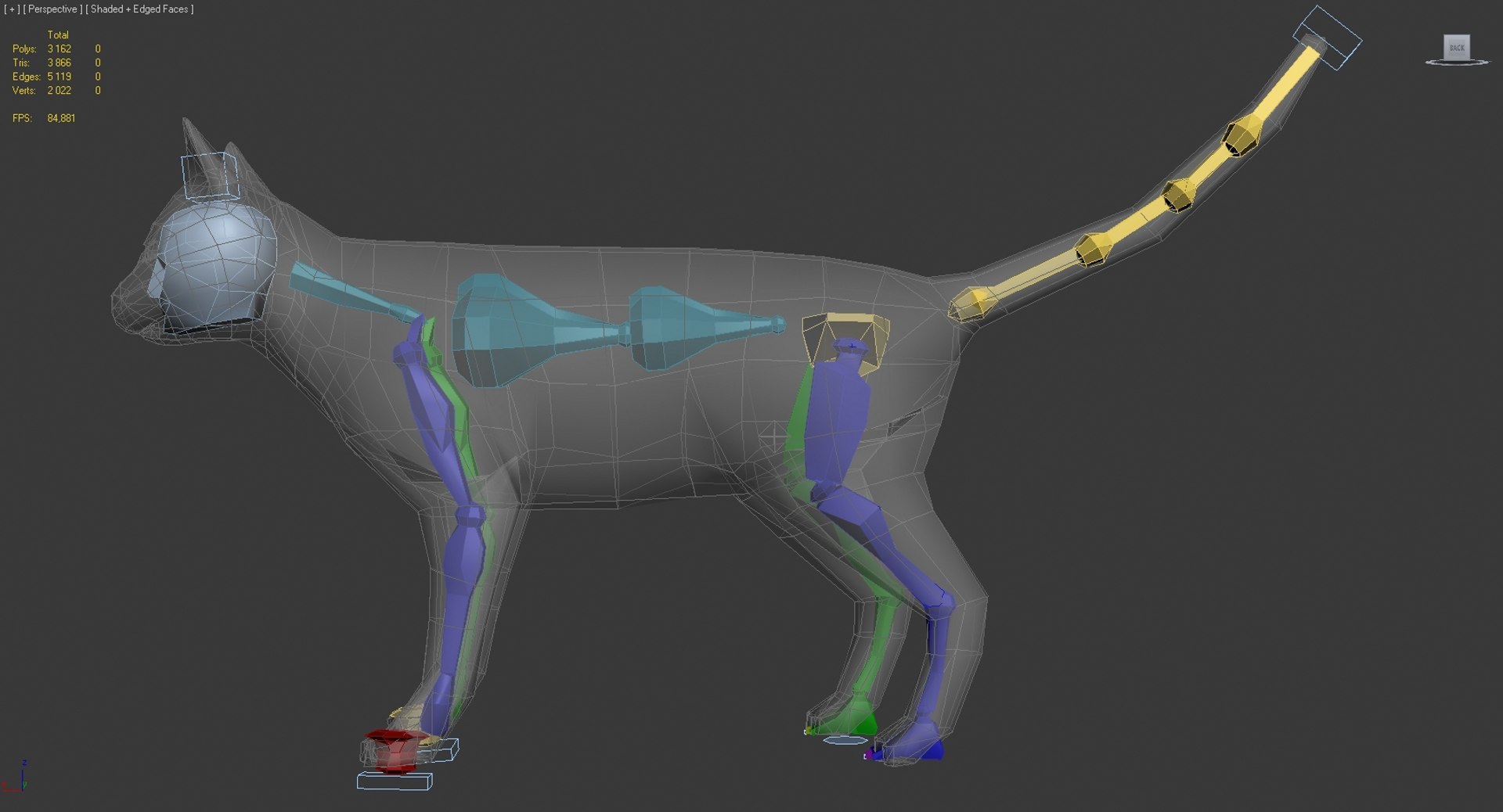 3d model cat