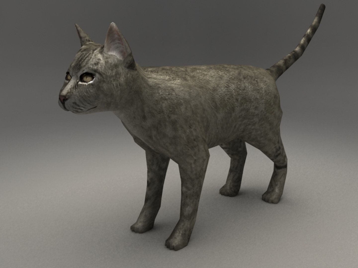 3d model cat