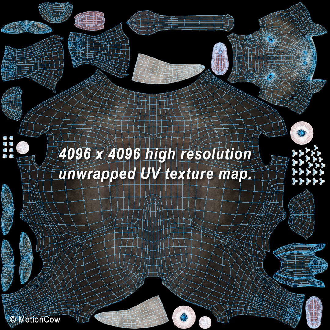 3d Animation