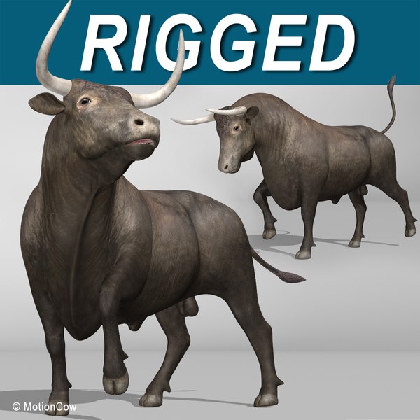 Bull 3D Models for Download | TurboSquid