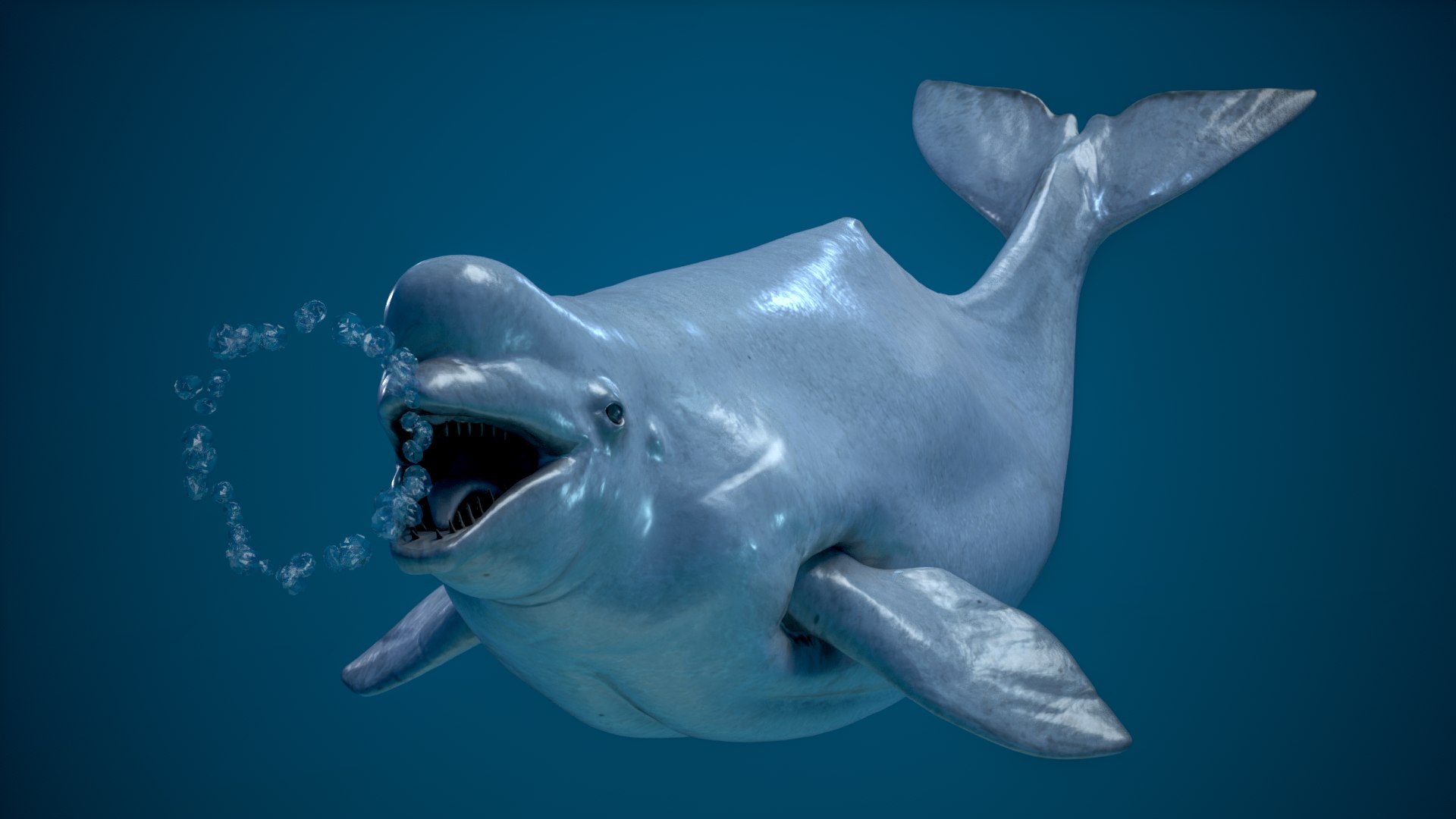 Beluga Whale Dolphin Narwhal Rigged Animated 3D Model - TurboSquid 2329173