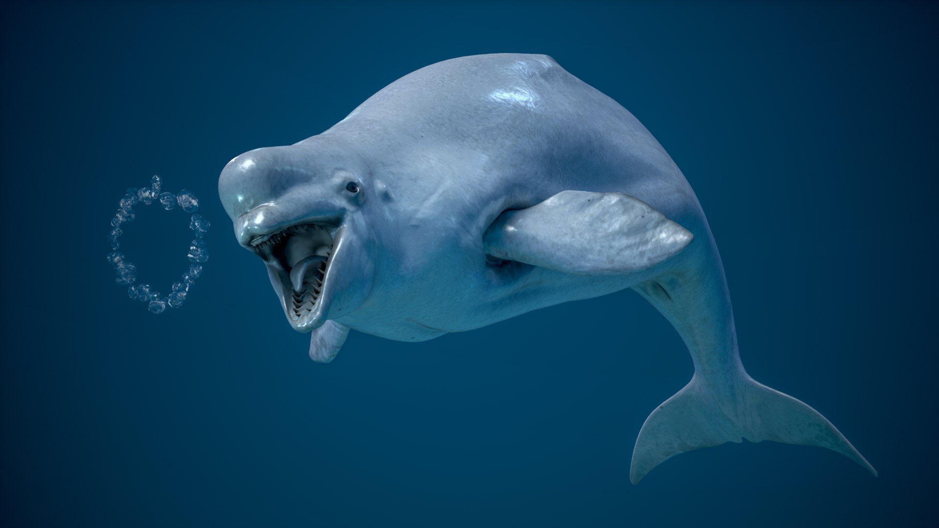 Beluga Whale Dolphin Narwhal Rigged Animated 3D Model - TurboSquid 2329173